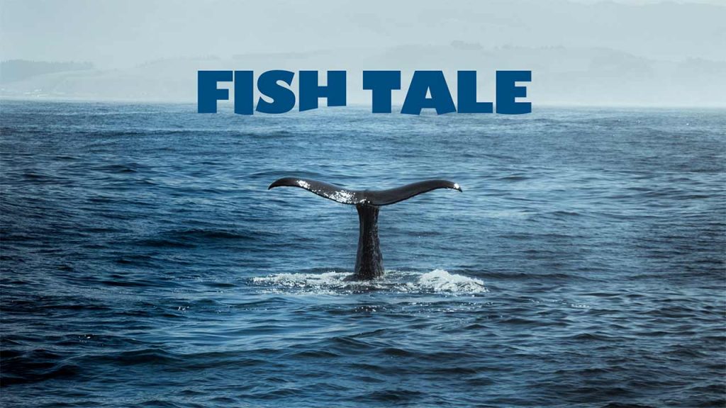 Fish Tale: You Can Run But You Can’t Hide